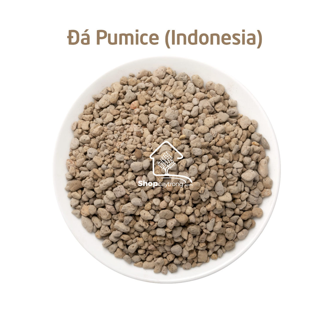 Đá Bọt Pumice Indonesia 3-6mm (Bao17-20kg) Làm Giá Thể Trồng Cây