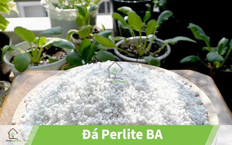 Đá Perlite giá sỉ chiết khấu tốt, hàng sẵn có