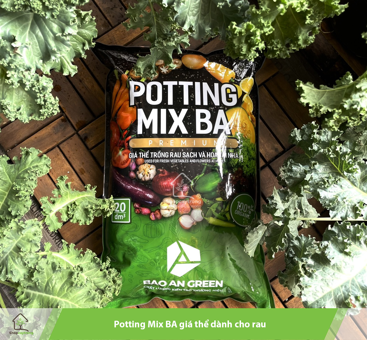 Ra mắt sản phẩm Potting Mix BA - Trồng rau sạch và hoa hiệu quả tại nhà